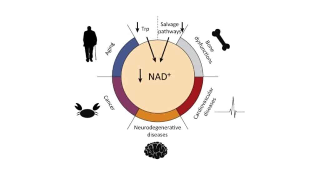 IV Nad Detox Therapy in Los Angeles- My Concierge MD